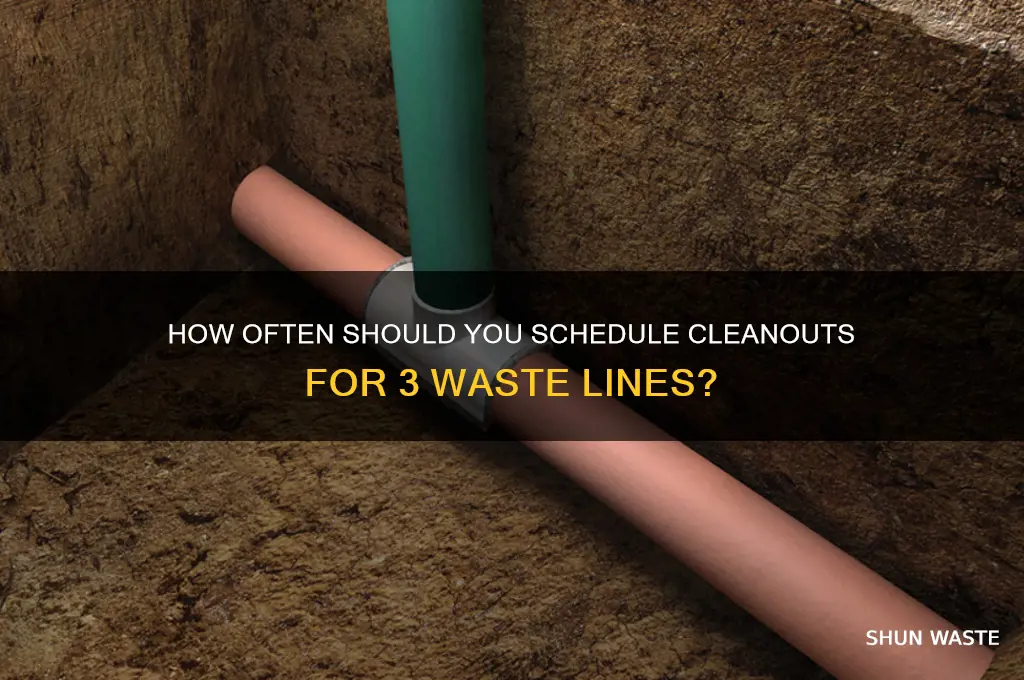 How Often Should You Schedule Cleanouts For 3 Waste Lines? | ShunWaste