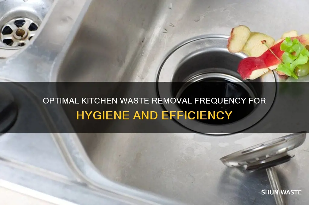 Optimal Kitchen Waste Removal Frequency For Hygiene And Efficiency ...