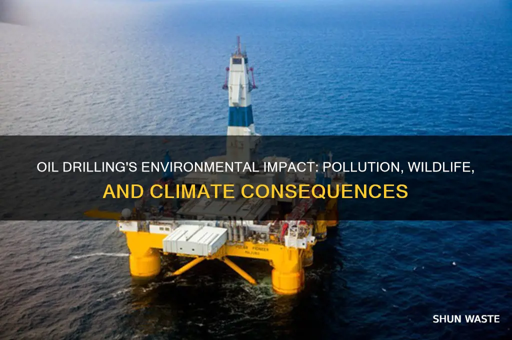 Oil Drilling's Environmental Impact: Pollution, Wildlife, And Climate ...