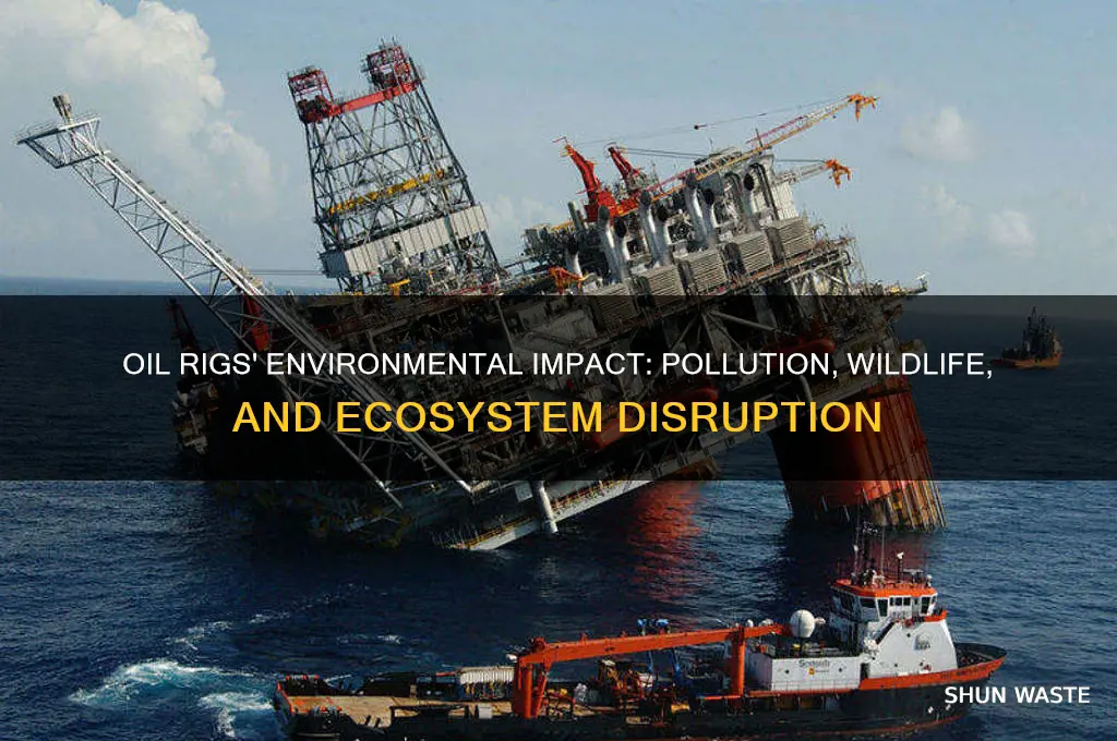 Oil Rigs' Environmental Impact: Pollution, Wildlife, And Ecosystem ...