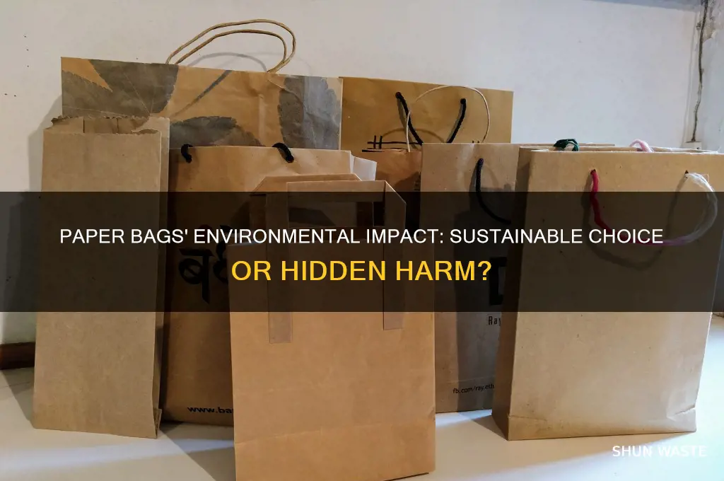 Paper Bags' Environmental Impact: Sustainable Choice Or Hidden Harm ...