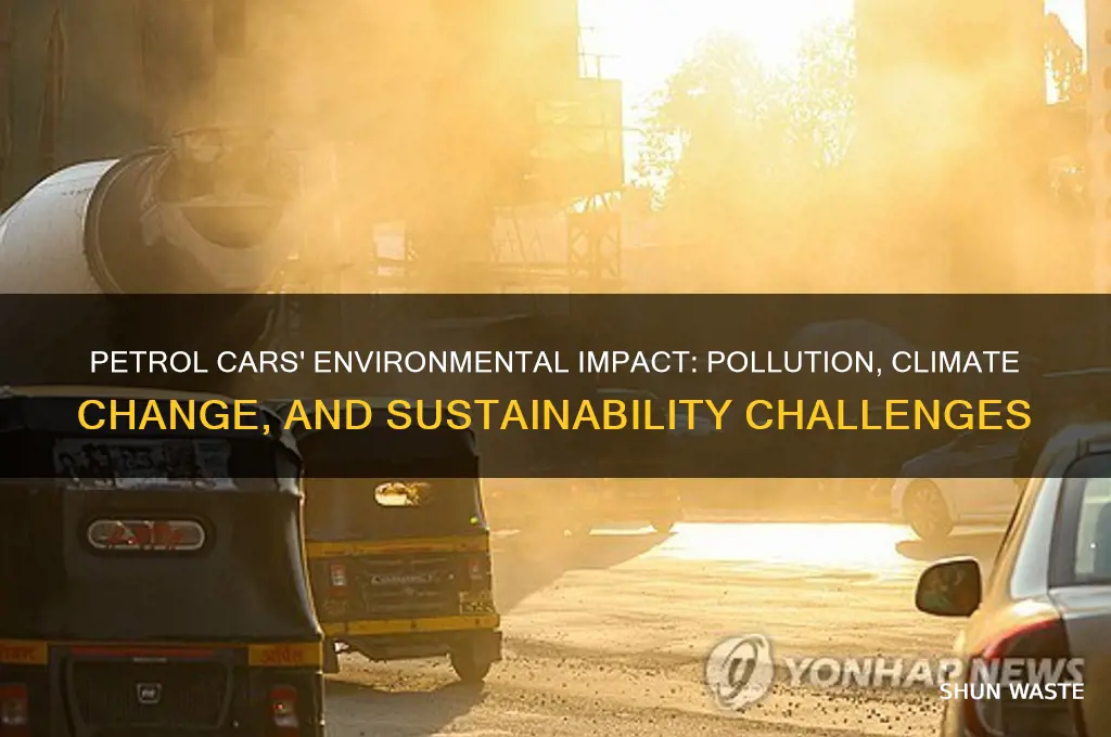 Petrol Cars' Environmental Impact: Pollution, Climate Change, And ...