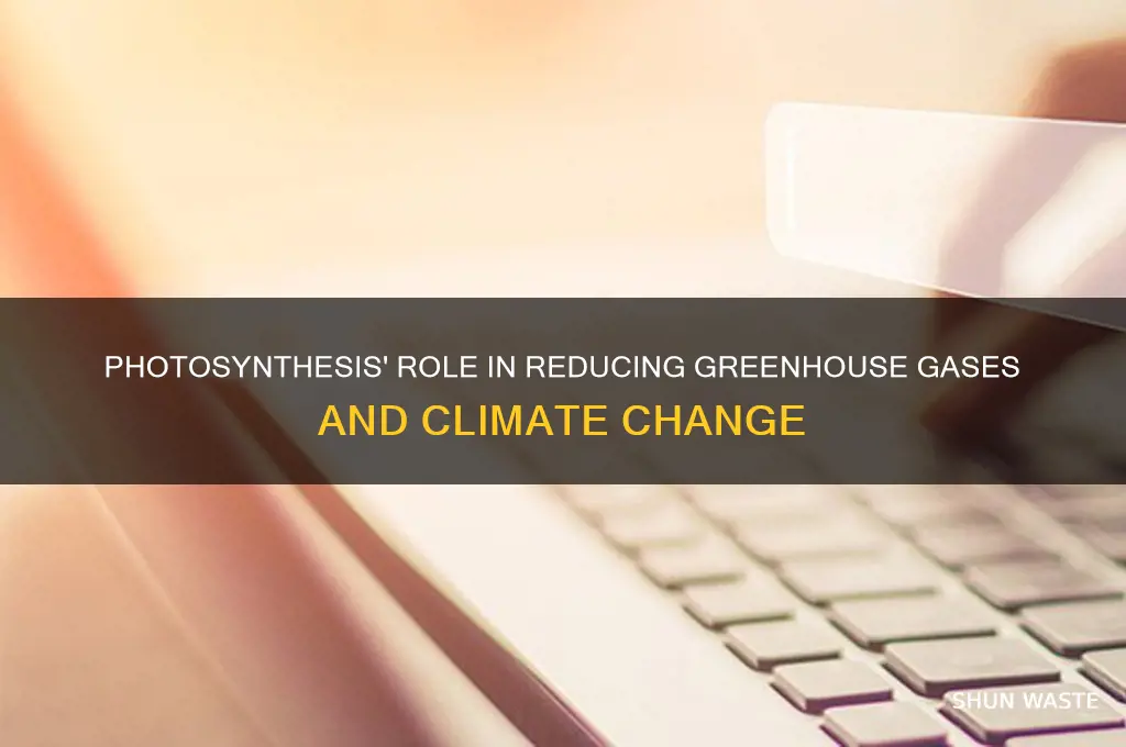 Photosynthesis' Role In Reducing Greenhouse Gases And Climate Change ...