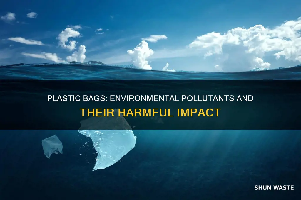 Plastic Bags: Environmental Pollutants And Their Harmful Impact | ShunWaste