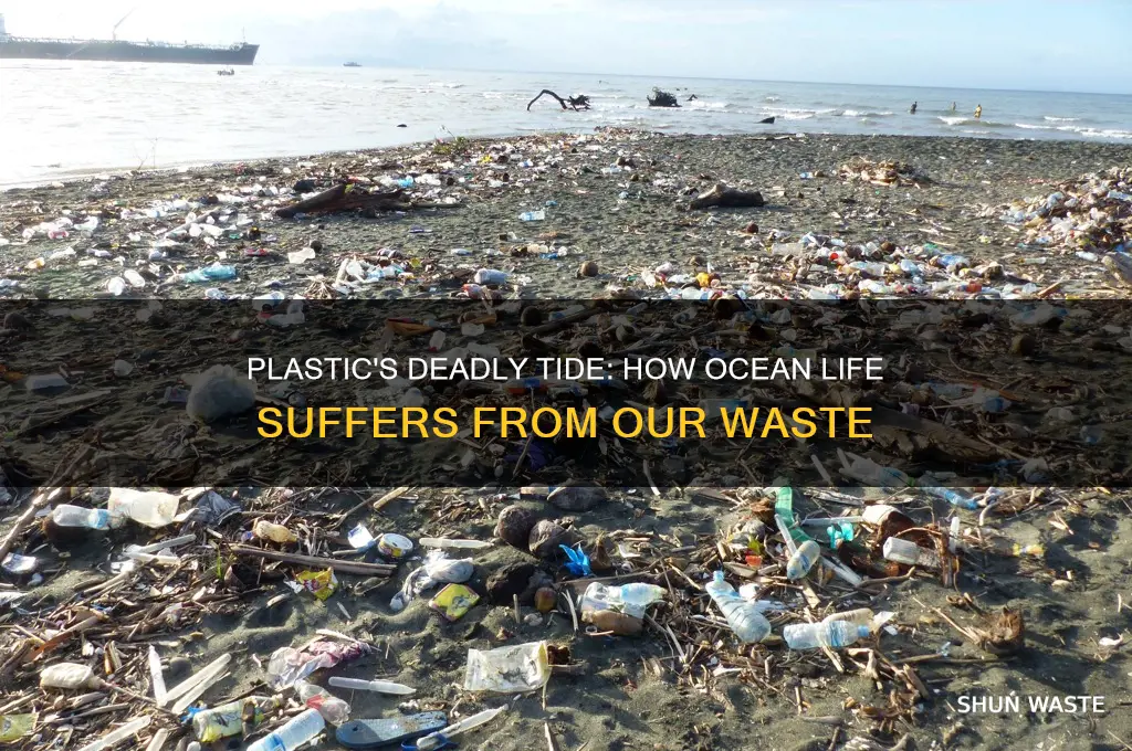 Plastic's Deadly Tide: How Ocean Life Suffers From Our Waste | ShunWaste
