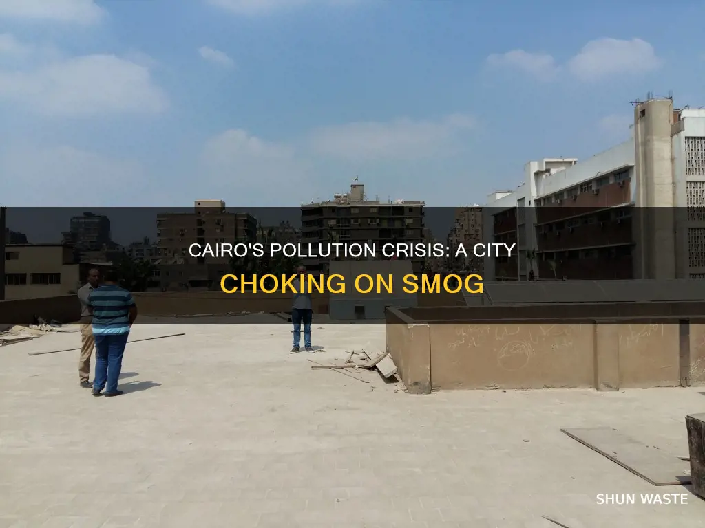 Cairo's Pollution Crisis: A City Choking On Smog | ShunWaste