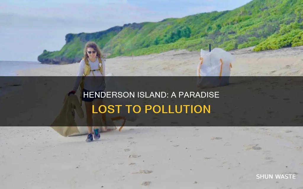 Henderson Island: A Paradise Lost To Pollution | ShunWaste