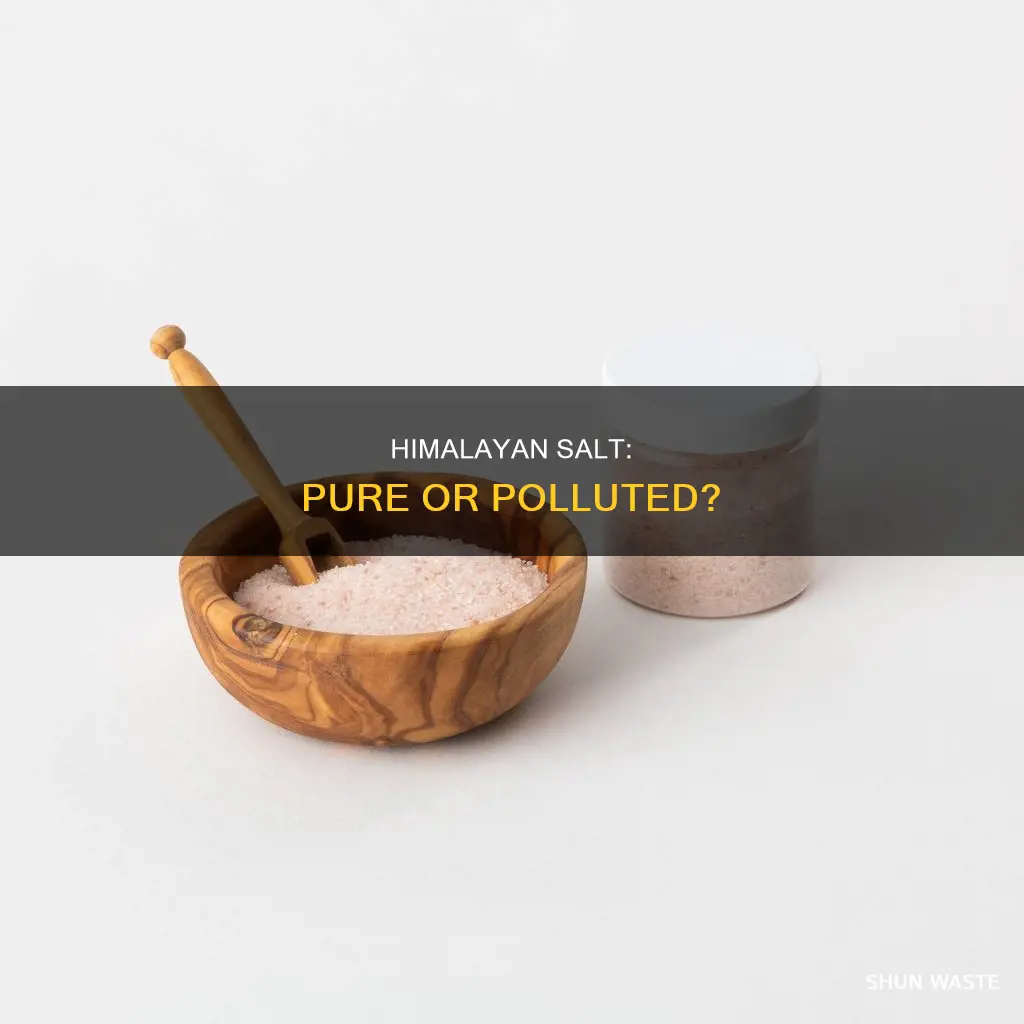 Himalayan Salt: Pure Or Polluted? | ShunWaste