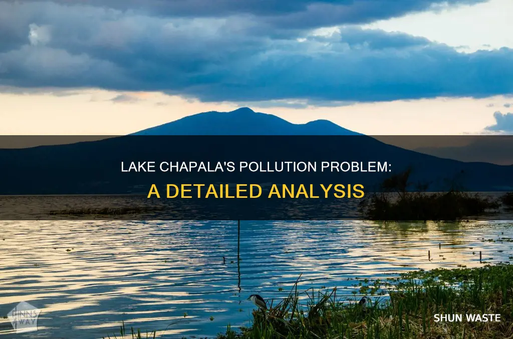 Lake Chapala's Pollution Problem: A Detailed Analysis | ShunWaste