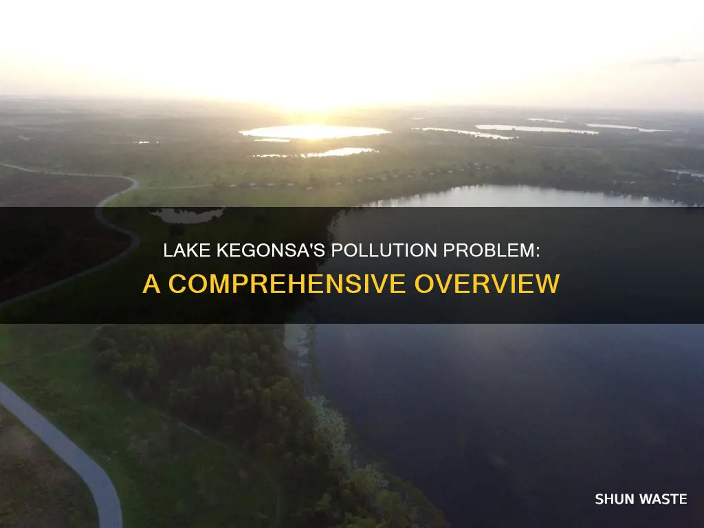 Lake Kegonsa's Pollution Problem: A Comprehensive Overview | ShunWaste