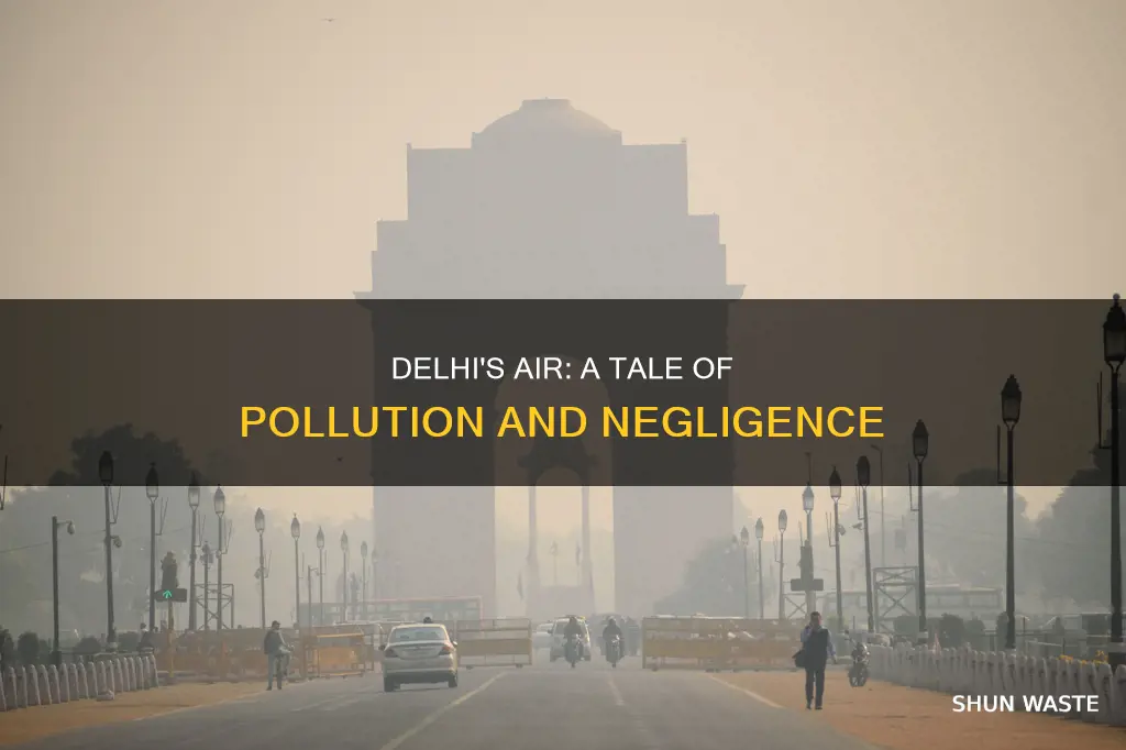 Delhi's Air: A Tale Of Pollution And Negligence | ShunWaste