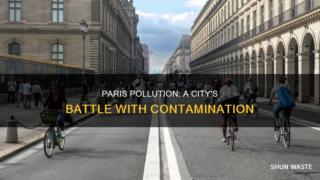 Paris Pollution: A City's Battle With Contamination | ShunWaste