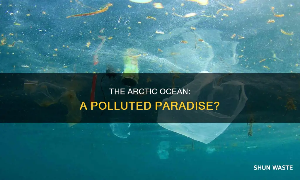 The Arctic Ocean: A Polluted Paradise? | ShunWaste