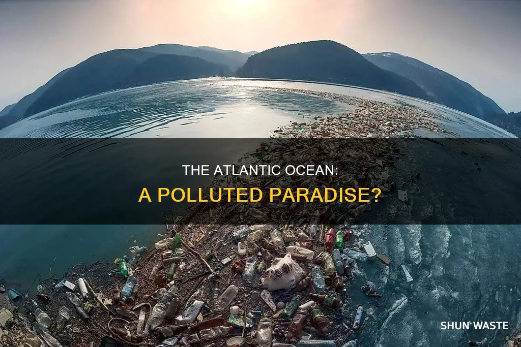 The Atlantic Ocean: A Polluted Paradise? | ShunWaste