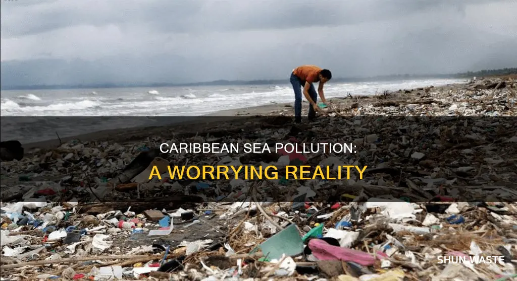 Caribbean Sea Pollution: A Worrying Reality | ShunWaste