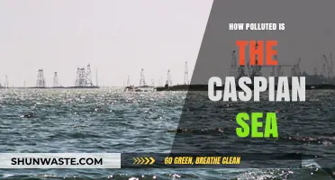 Caribbean Sea Pollution: A Worrying Reality | ShunWaste