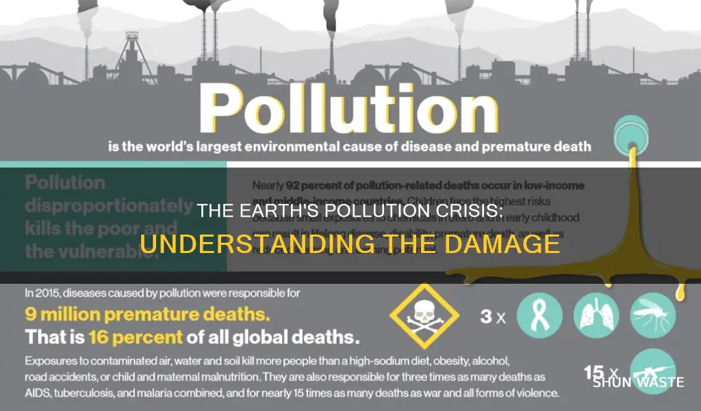 The Earth's Pollution Crisis: Understanding The Damage | ShunWaste