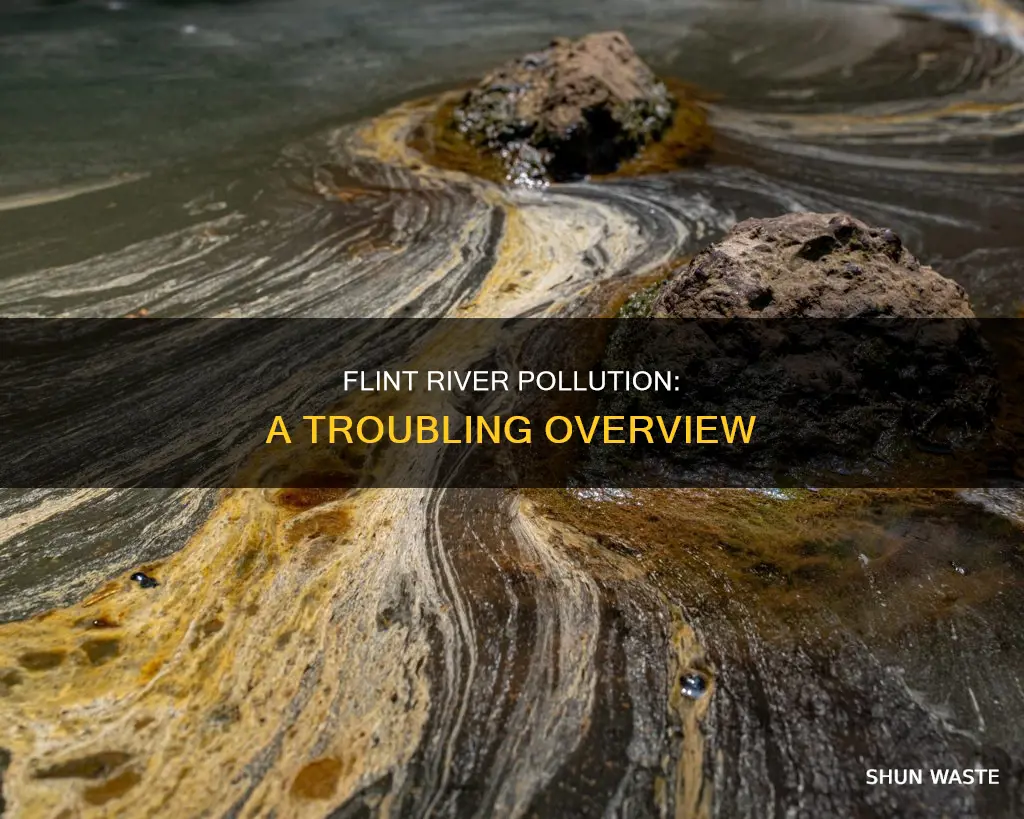 Flint River Pollution: A Troubling Overview | ShunWaste