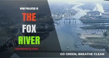 The Indian Ocean's Pollution Crisis: A Deep Dive | ShunWaste