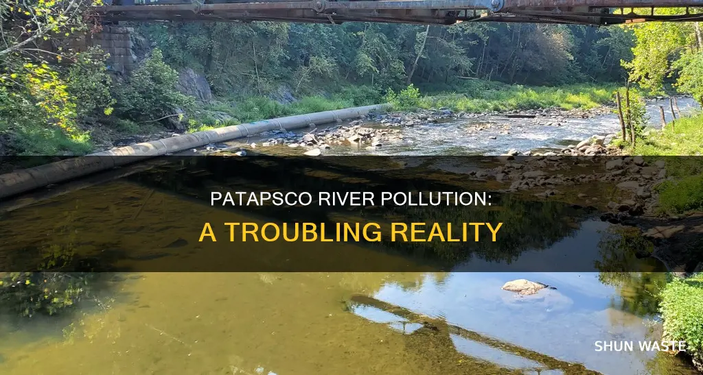 Patapsco River Pollution: A Troubling Reality | ShunWaste