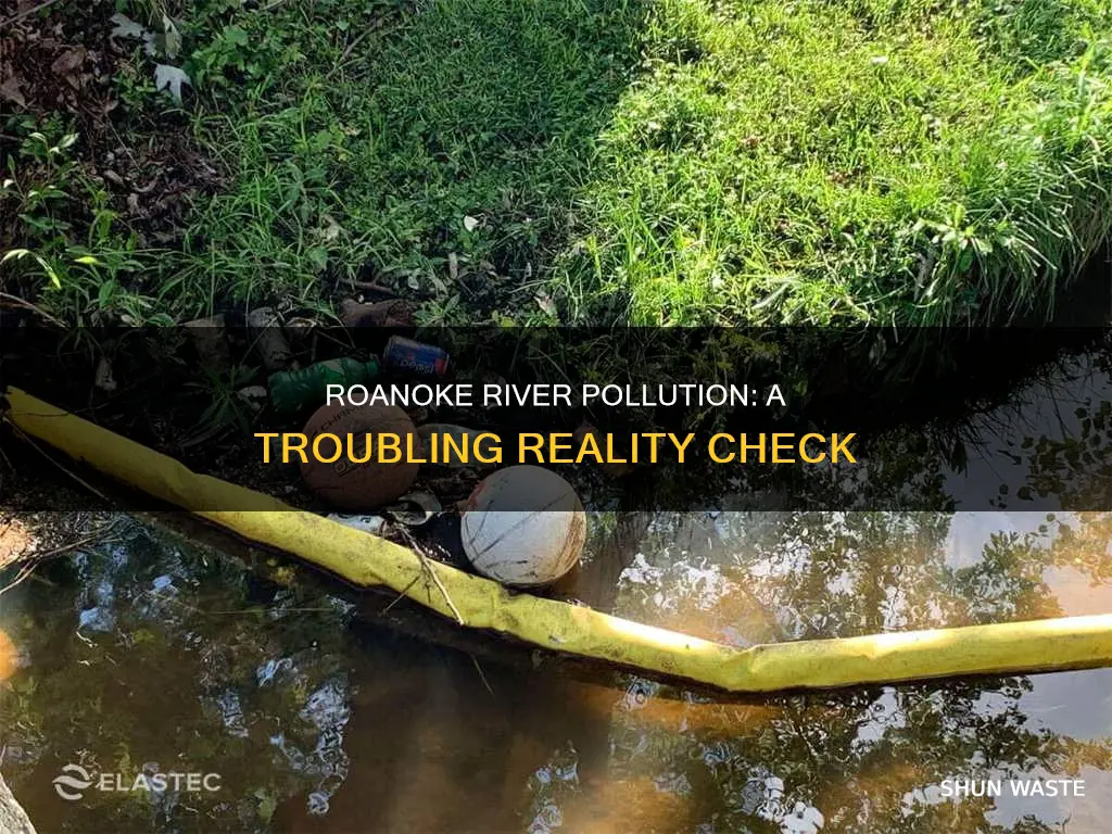 Roanoke River Pollution: A Troubling Reality Check | ShunWaste