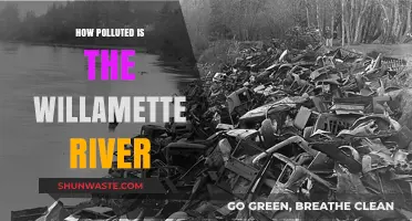 London's Thames: A Polluted Legacy? | ShunWaste