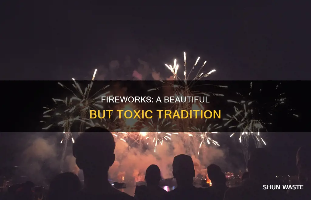 Fireworks: A Beautiful But Toxic Tradition | ShunWaste