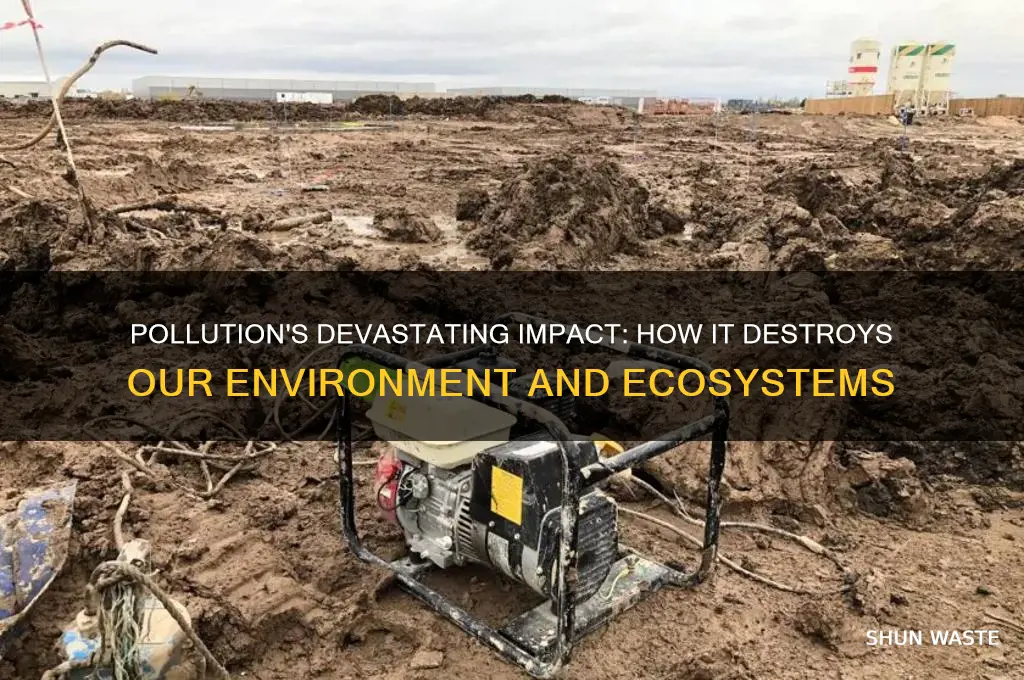 Pollution's Devastating Impact: How It Destroys Our Environment And ...