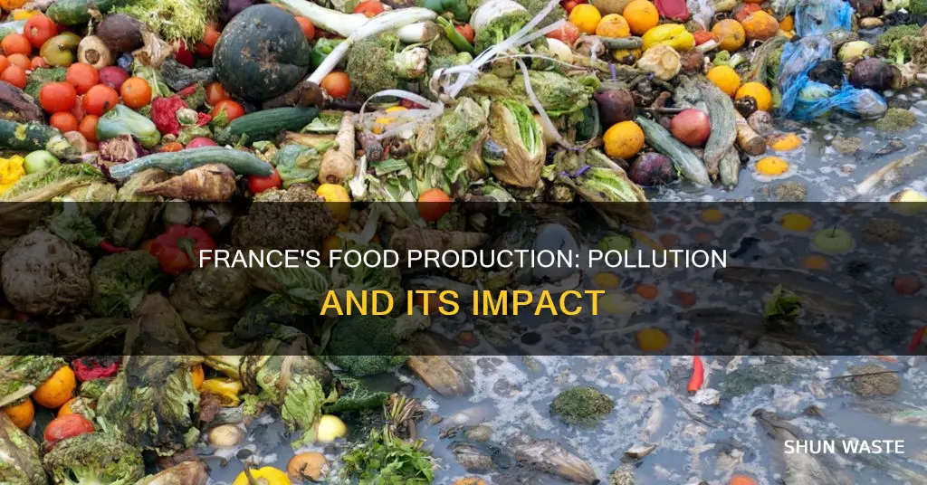 France's Food Production: Pollution And Its Impact | ShunWaste