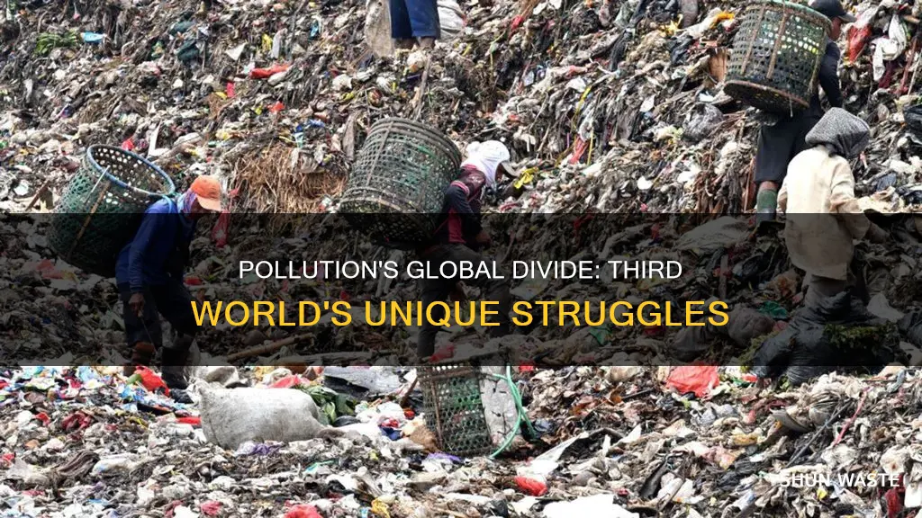 Pollution's Global Divide: Third World's Unique Struggles | ShunWaste