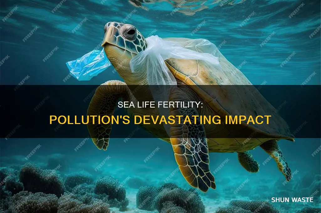 Sea Life Fertility: Pollution's Devastating Impact | ShunWaste