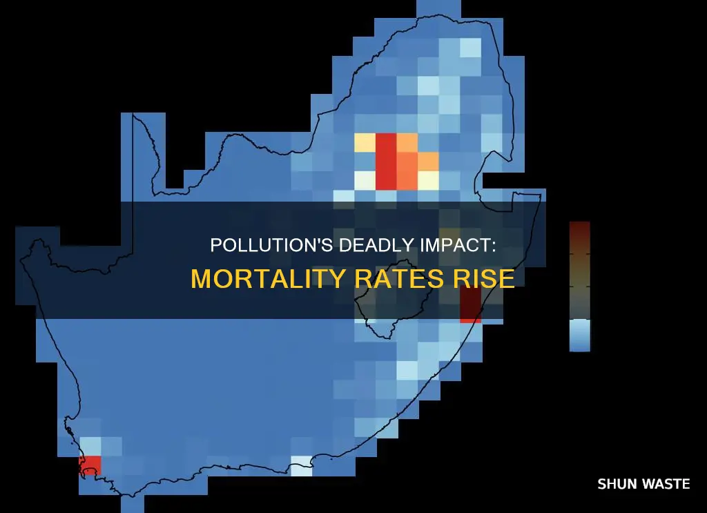 Pollution's Deadly Impact: Mortality Rates Rise | ShunWaste