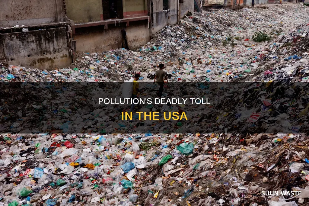 Pollution's Deadly Toll In The Usa | ShunWaste