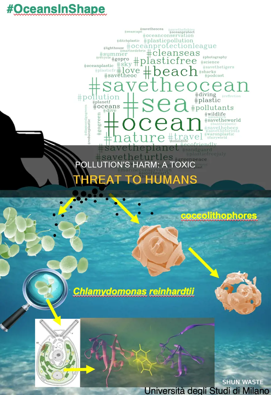 Pollution's Harm: A Toxic Threat To Humans | ShunWaste