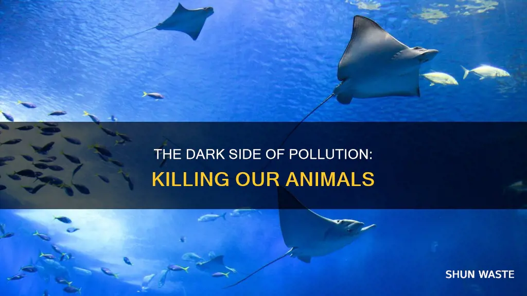 The Dark Side Of Pollution: Killing Our Animals | ShunWaste