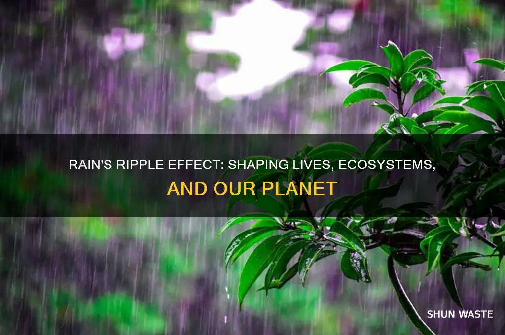 Rain's Ripple Effect: Shaping Lives, Ecosystems, And Our Planet | ShunWaste