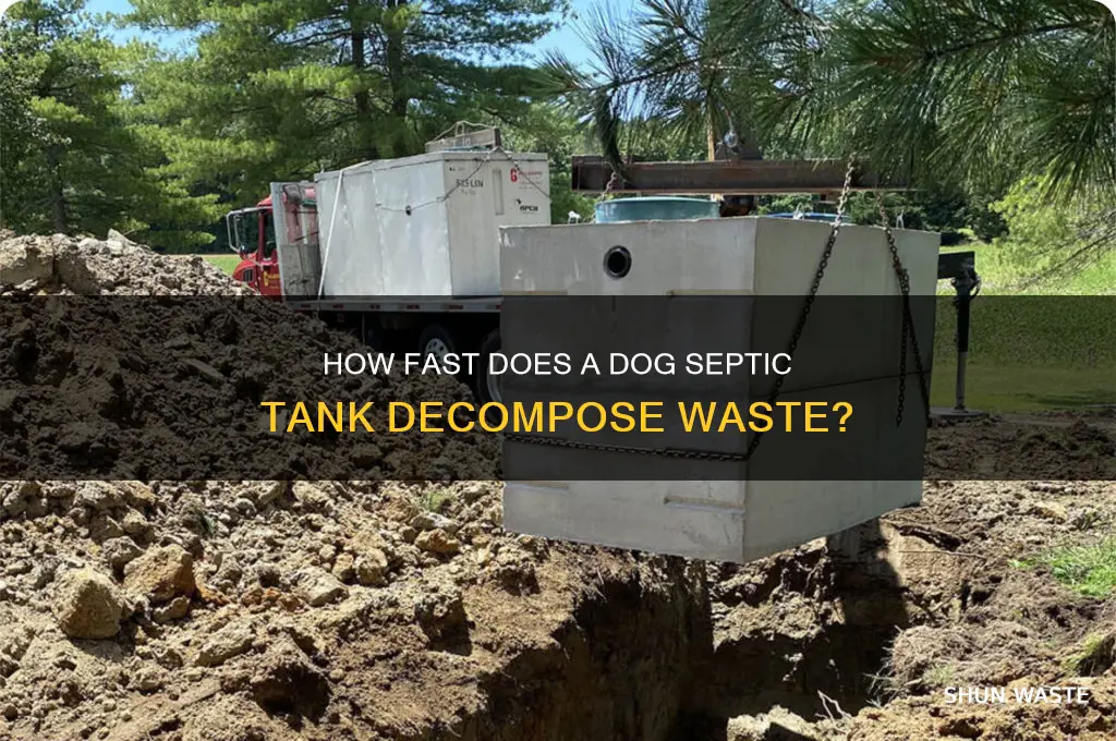 How Fast Does A Dog Septic Tank Decompose Waste? | ShunWaste