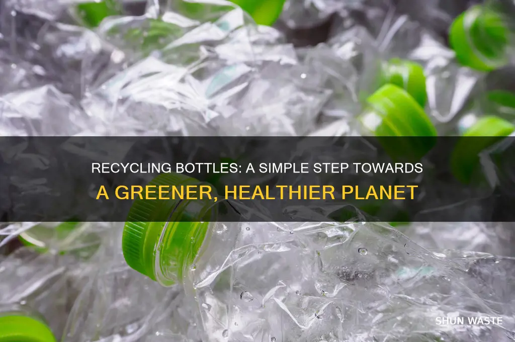 Recycling Bottles: A Simple Step Towards A Greener, Healthier Planet ...