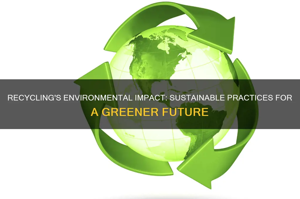 Recycling's Environmental Impact: Sustainable Practices For A Greener ...