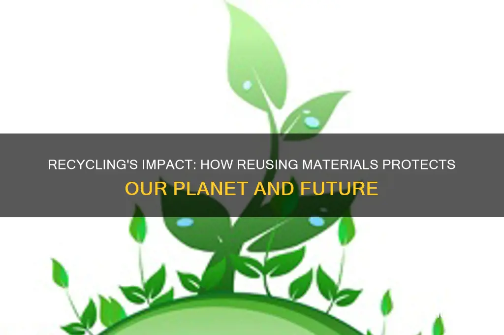 Recycling's Impact: How Reusing Materials Protects Our Planet And ...