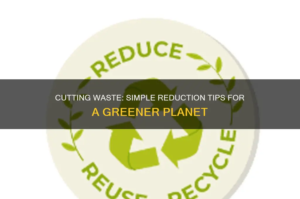 Cutting Waste: Simple Reduction Tips For A Greener Planet | ShunWaste