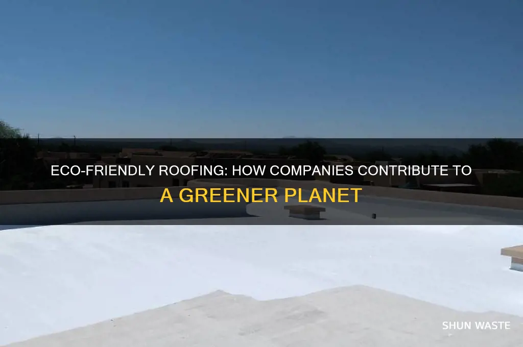 Eco-Friendly Roofing: How Companies Contribute To A Greener Planet ...