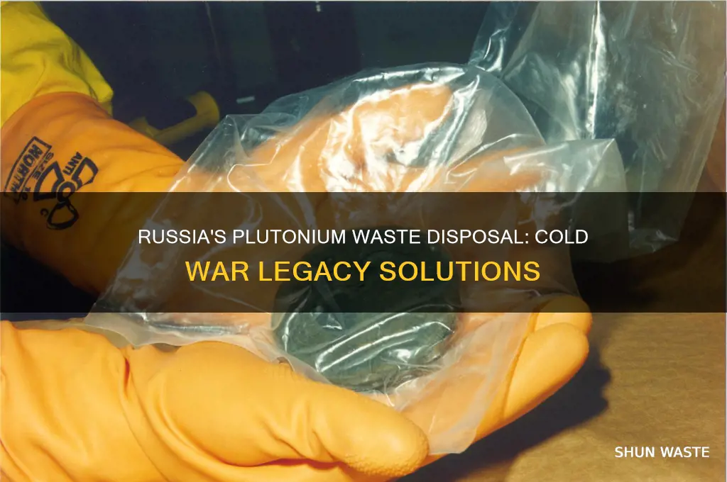 Russia's Plutonium Waste Disposal: Cold War Legacy Solutions | ShunWaste