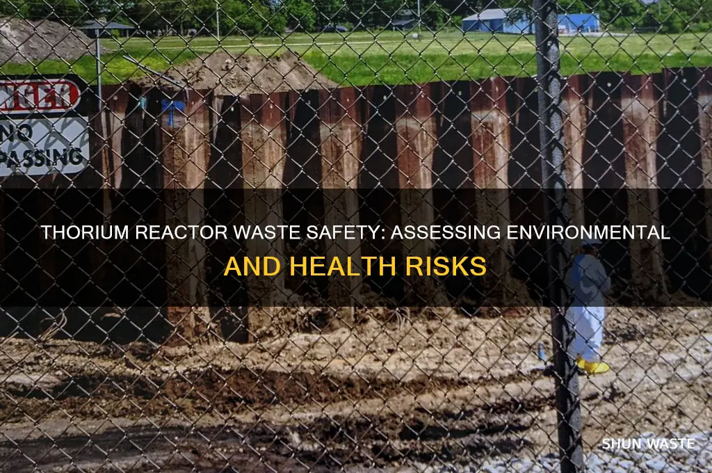 Thorium Reactor Waste Safety: Assessing Environmental And Health Risks ...