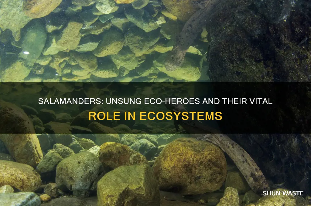 Salamanders: Unsung Eco-Heroes And Their Vital Role In Ecosystems ...