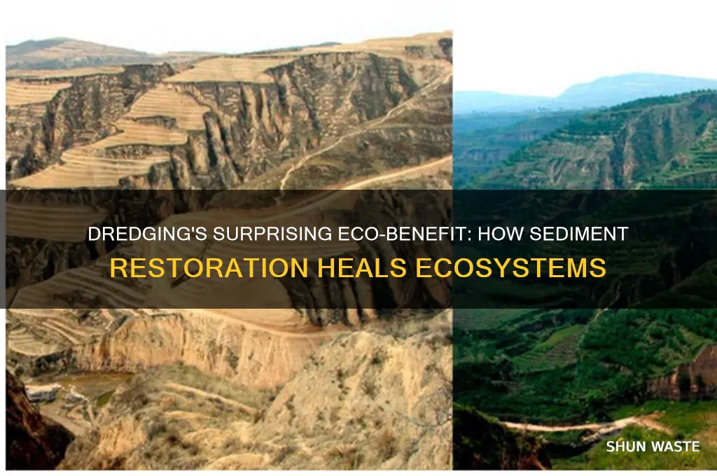 Dredging's Surprising Eco-Benefit: How Sediment Restoration Heals ...