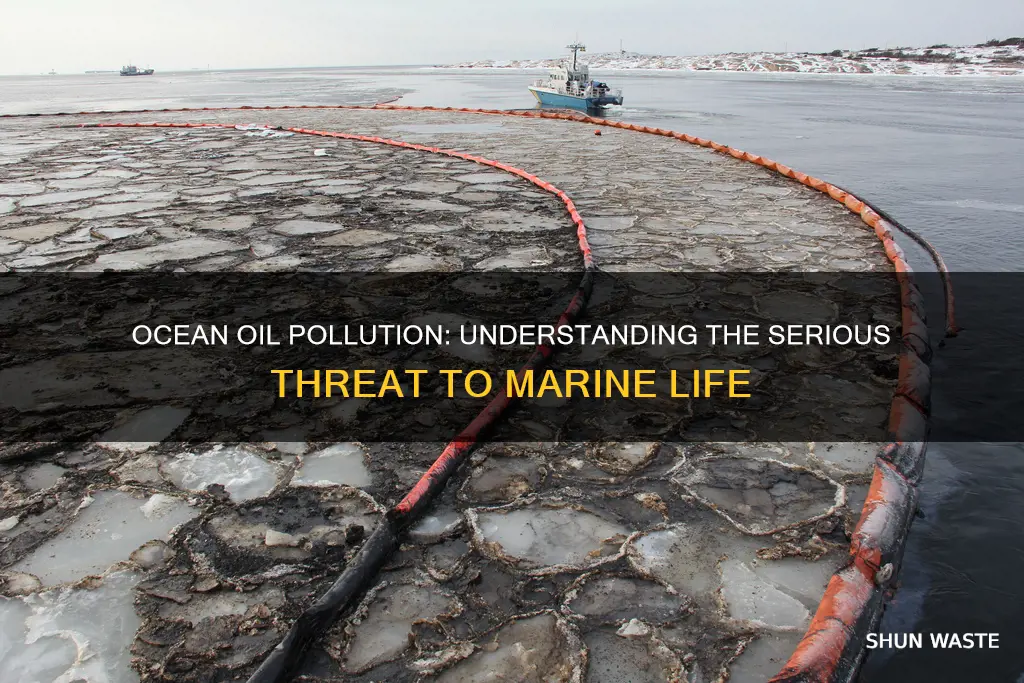 Ocean Oil Pollution: Understanding The Serious Threat To Marine Life ...