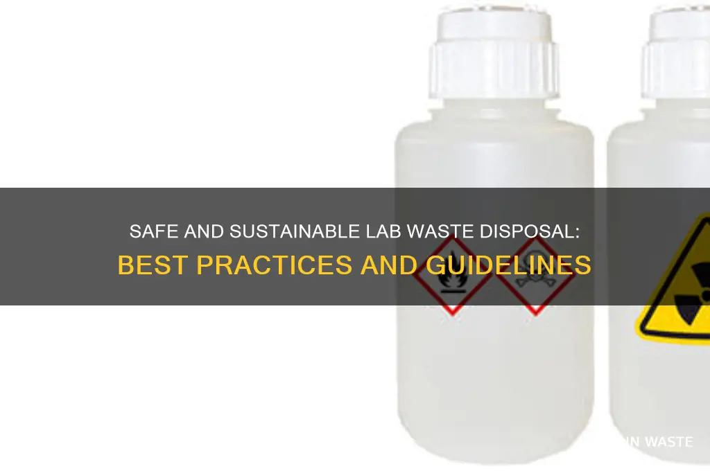 Safe And Sustainable Lab Waste Disposal: Best Practices And Guidelines ...