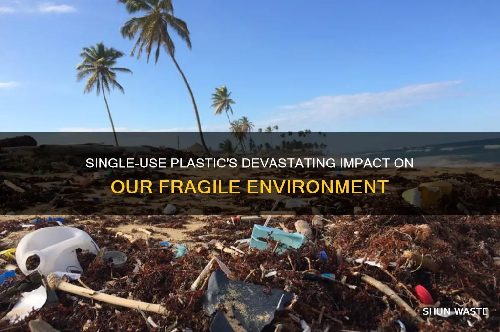 Single-Use Plastic's Devastating Impact On Our Fragile Environment ...