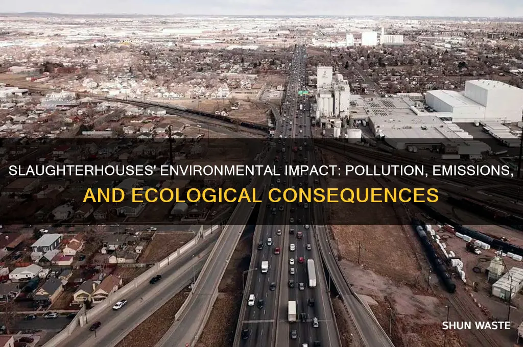 Slaughterhouses' Environmental Impact: Pollution, Emissions, And ...